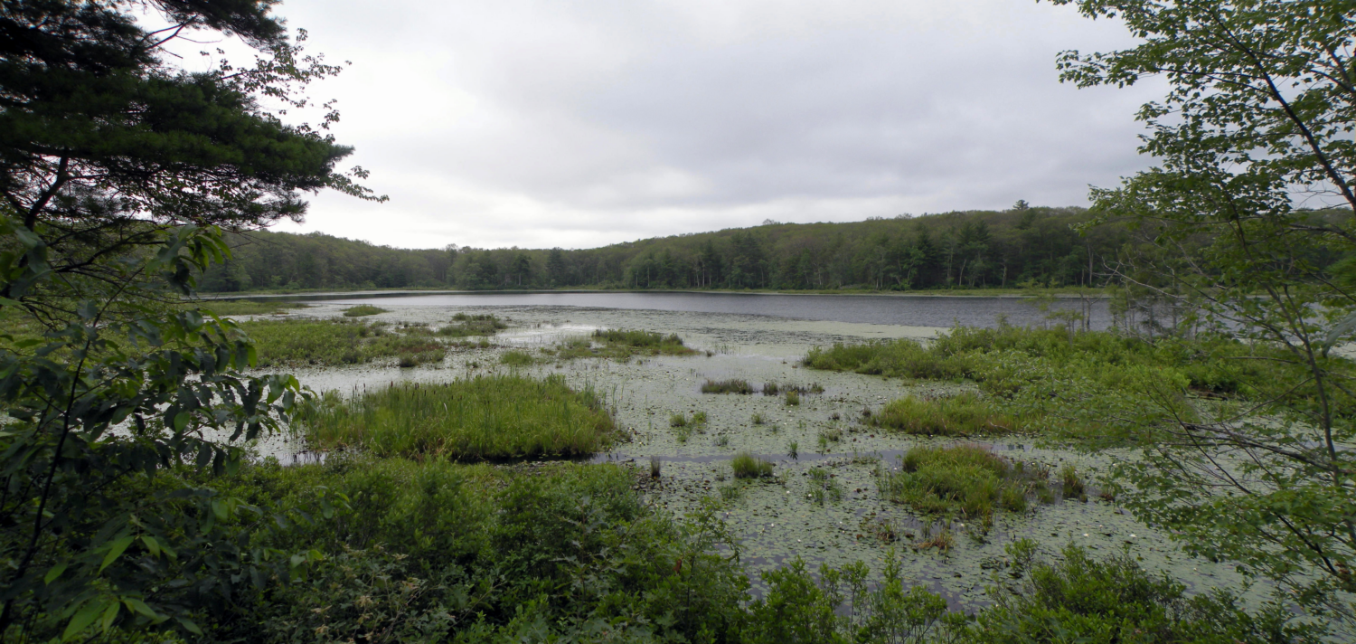 Defending the Last Green Valley