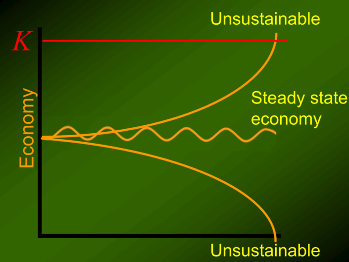 Steady State Economy — Definition