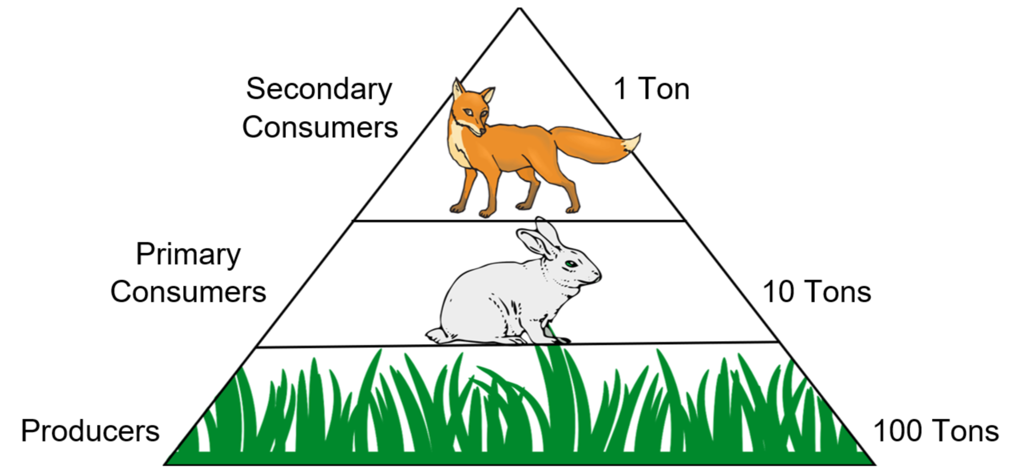 The Triangular Economy: Behind the Circular Flows